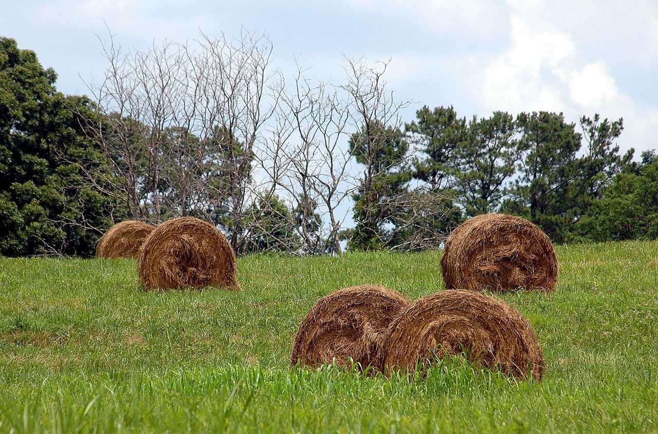 Bales Of Hay Rural Agriculture - Free photo on Pixabay