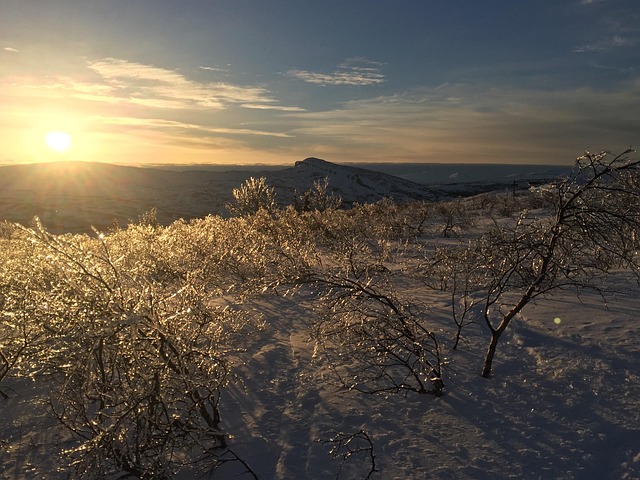Sweden Jämtland Storlien - Free photo on Pixabay - Pixabay