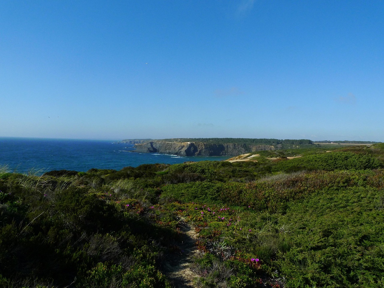 Path Ocean Nature - Free photo on Pixabay - Pixabay