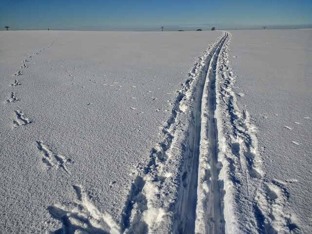 Cross-Country Skiing Ski Snow - Free photo on Pixabay - Pixabay