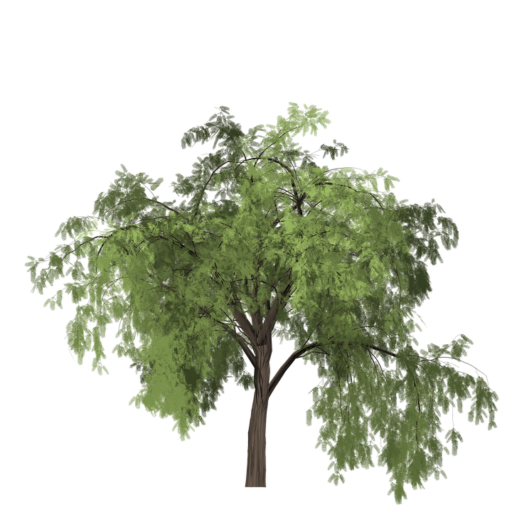 Download Pepper, Tree, Painted Tree. Royalty-Free Stock Illustration ...