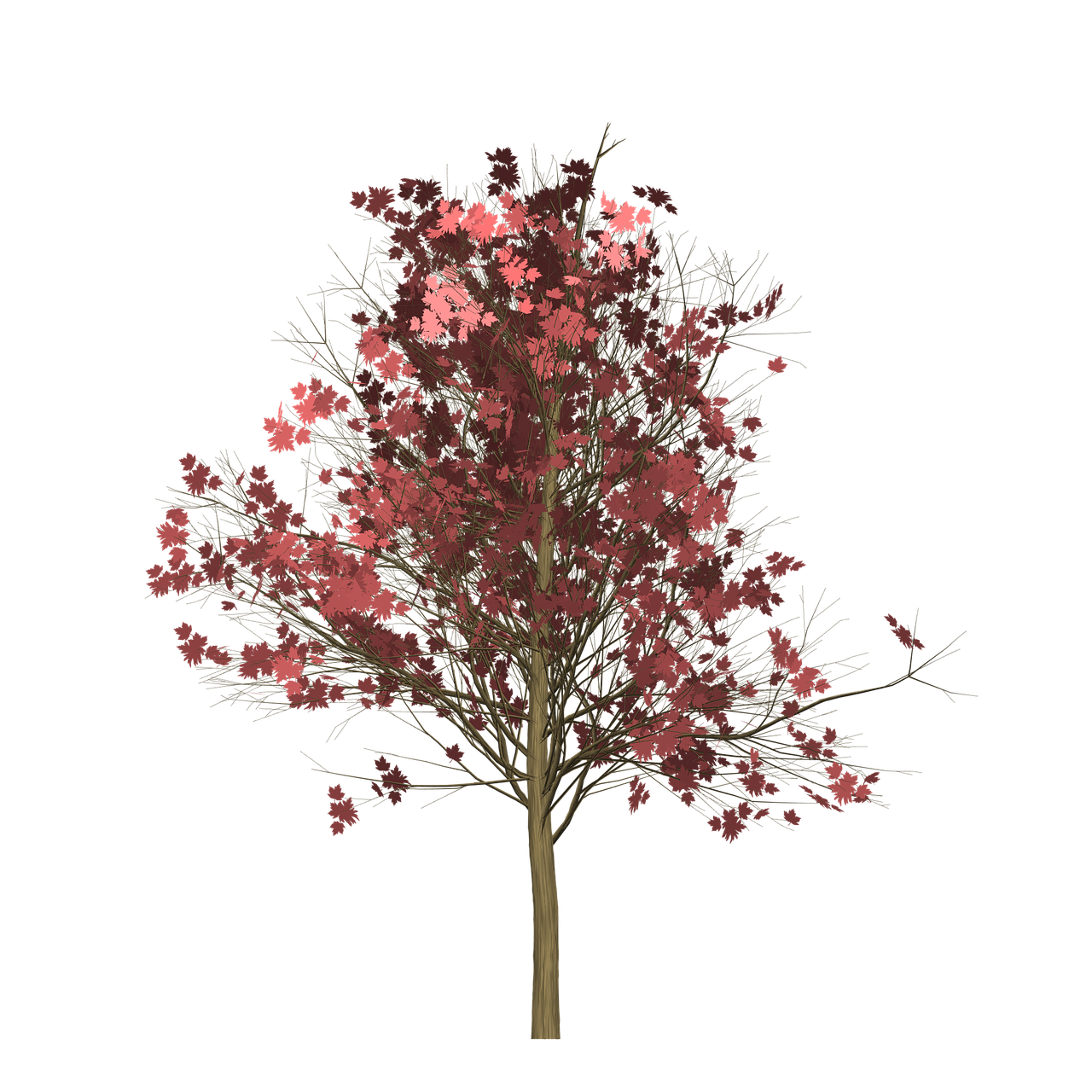 Download Maple, Tree, Painted Tree. Royalty-Free Stock Illustration ...