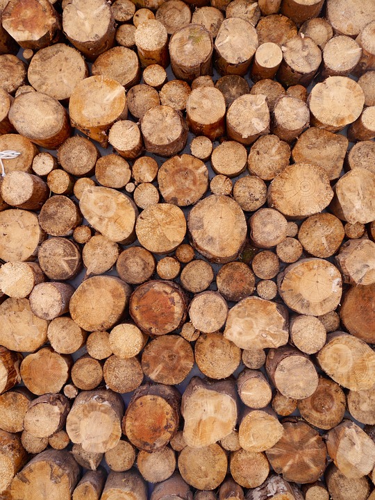 Wood Logs - Free photo on Pixabay - Pixabay