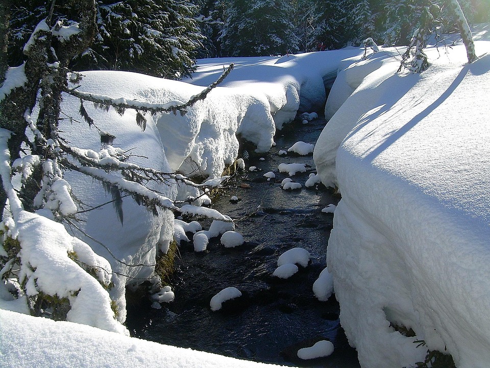 Winter Schnee Natur - Kostenloses Foto auf Pixabay - Pixabay
