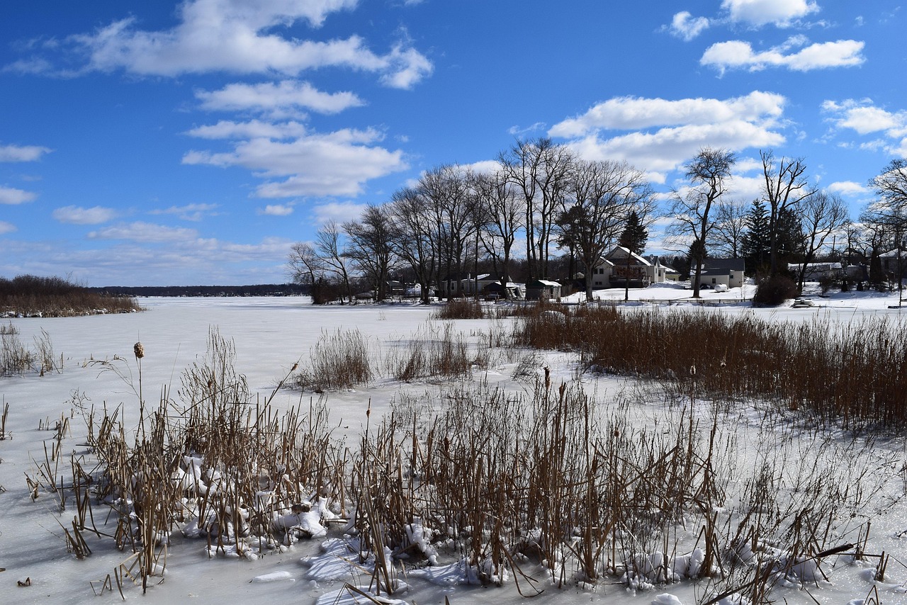 Lago Nieve Invierno - Foto gratis en Pixabay - Pixabay