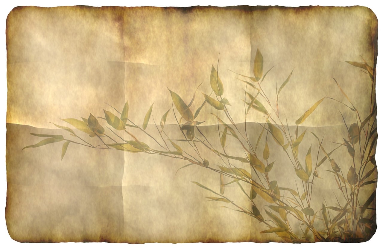 30,000 Free Old Paper Illustrations and Drawings - Pixabay