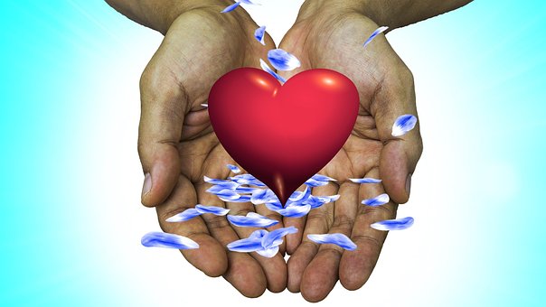 50+ Free Heart In Hand & Love Images - Pixabay