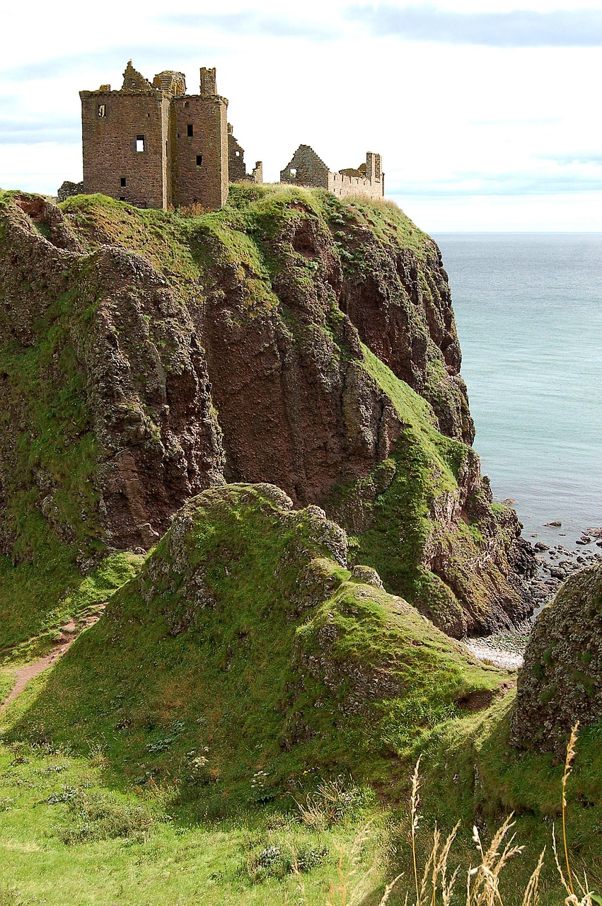 200+ Free Hamlet & Ai Generated Images - Pixabay