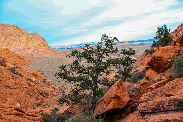 Utah Red Rocks - Free photo on Pixabay - Pixabay