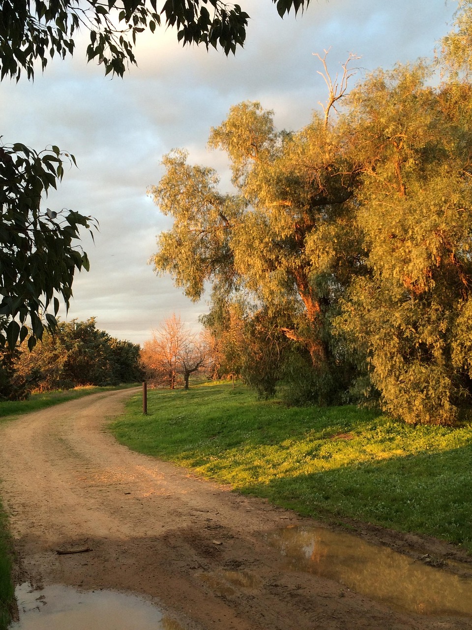 Route De Campagne Cendrée Piste - Photo gratuite sur Pixabay - Pixabay