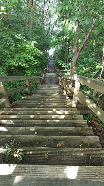 Stairs Steep Down - Free photo on Pixabay - Pixabay