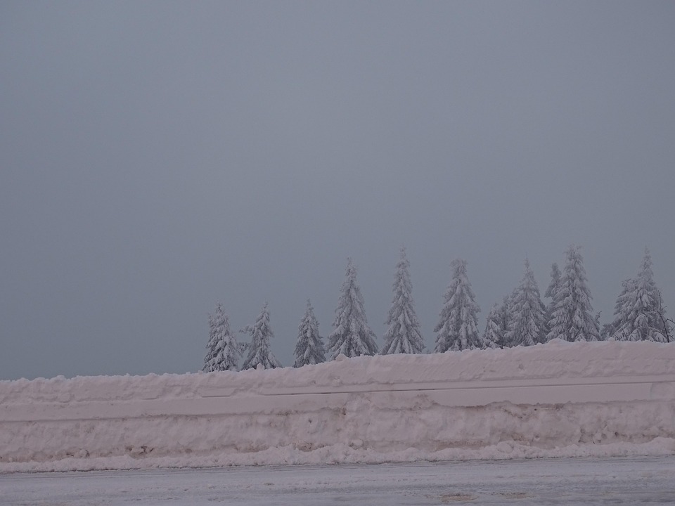 Winter Trees Landscape Snow - Free photo on Pixabay - Pixabay