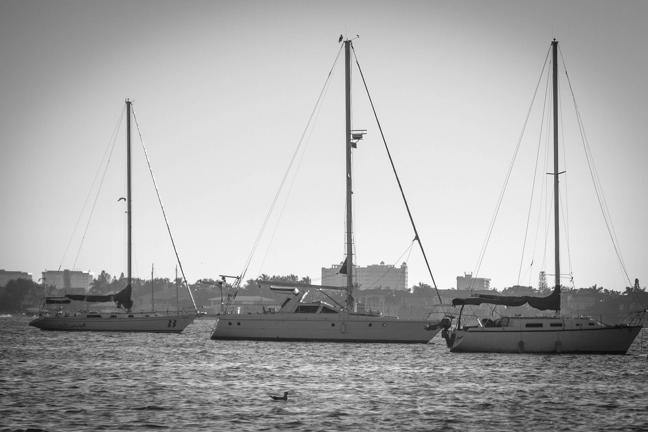 Sailboats Florida Bay - Free photo on Pixabay - Pixabay