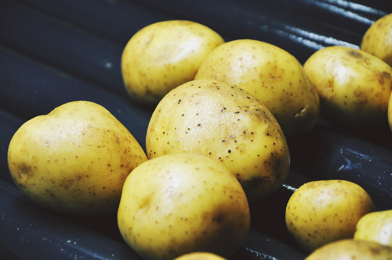 Potatoes Washing Tubers A - Free photo on Pixabay - Pixabay