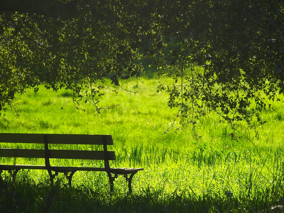 Bench Landscape Park - Free photo on Pixabay
