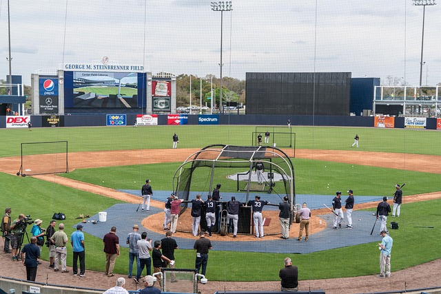 Baseball New York Yankees Spring - Free photo on Pixabay - Pixabay