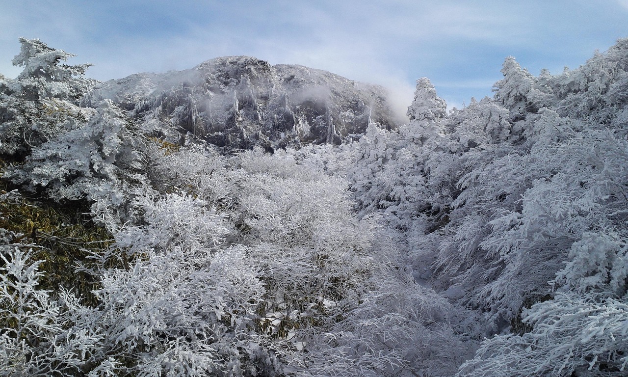 60+ Free Fisk Halla & Nature Images - Pixabay