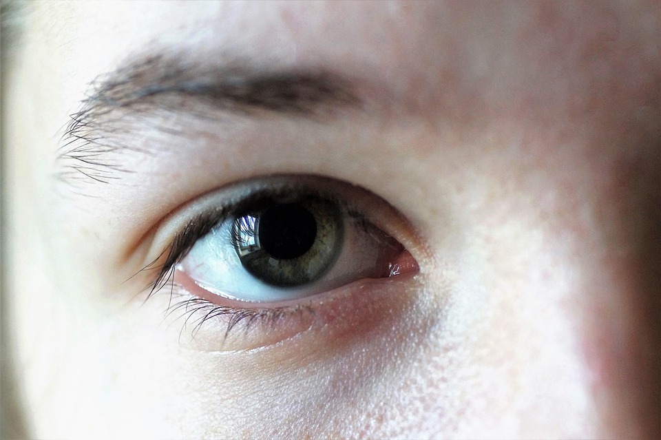 Eye Iris Doll - Free photo on Pixabay - Pixabay