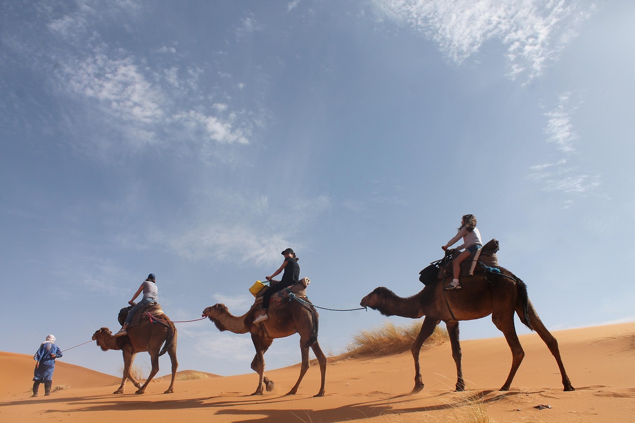 Deserto Sahara Areia - Foto gratuita no Pixabay
