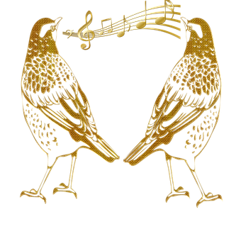 30+ Free Bird Singing & Bird Illustrations - Pixabay