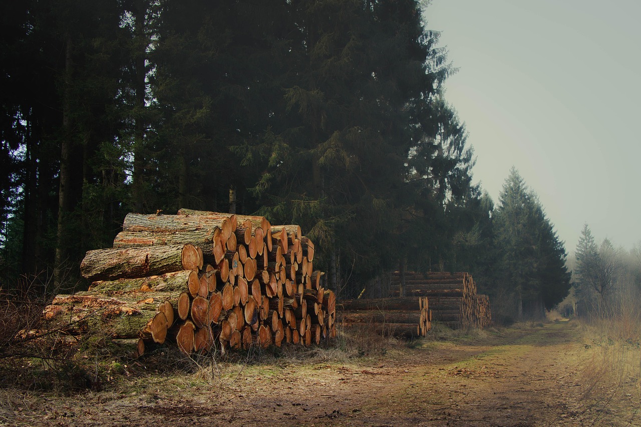 Landscape Lumber Log