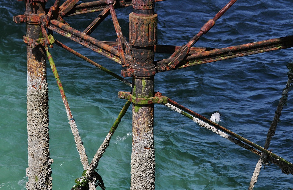 Muelle De Brighton Mar - Foto gratis en Pixabay - Pixabay