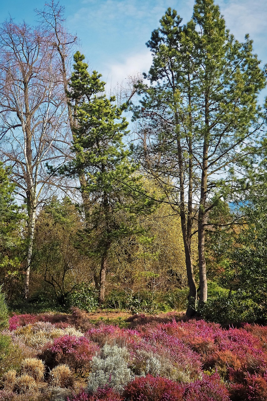 Landscape Spring Pagan - Free photo on Pixabay - Pixabay