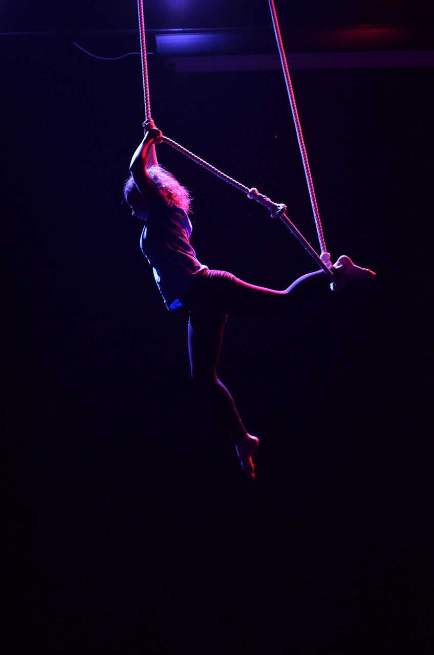 Más de 20 imágenes gratis de Trapecio y Circo - Pixabay