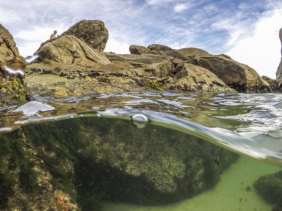 Dive Beach Sea - Free photo on Pixabay