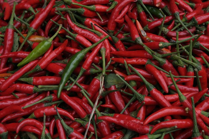 100+ kostenlose Chilli und Chili-Bilder - Pixabay
