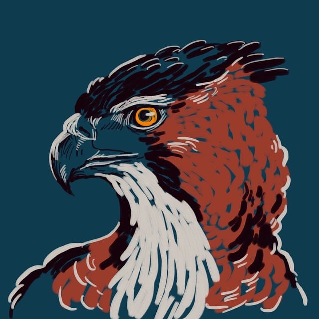 Explore 231+ Free Hawk Illustrations: Download Now - Pixabay