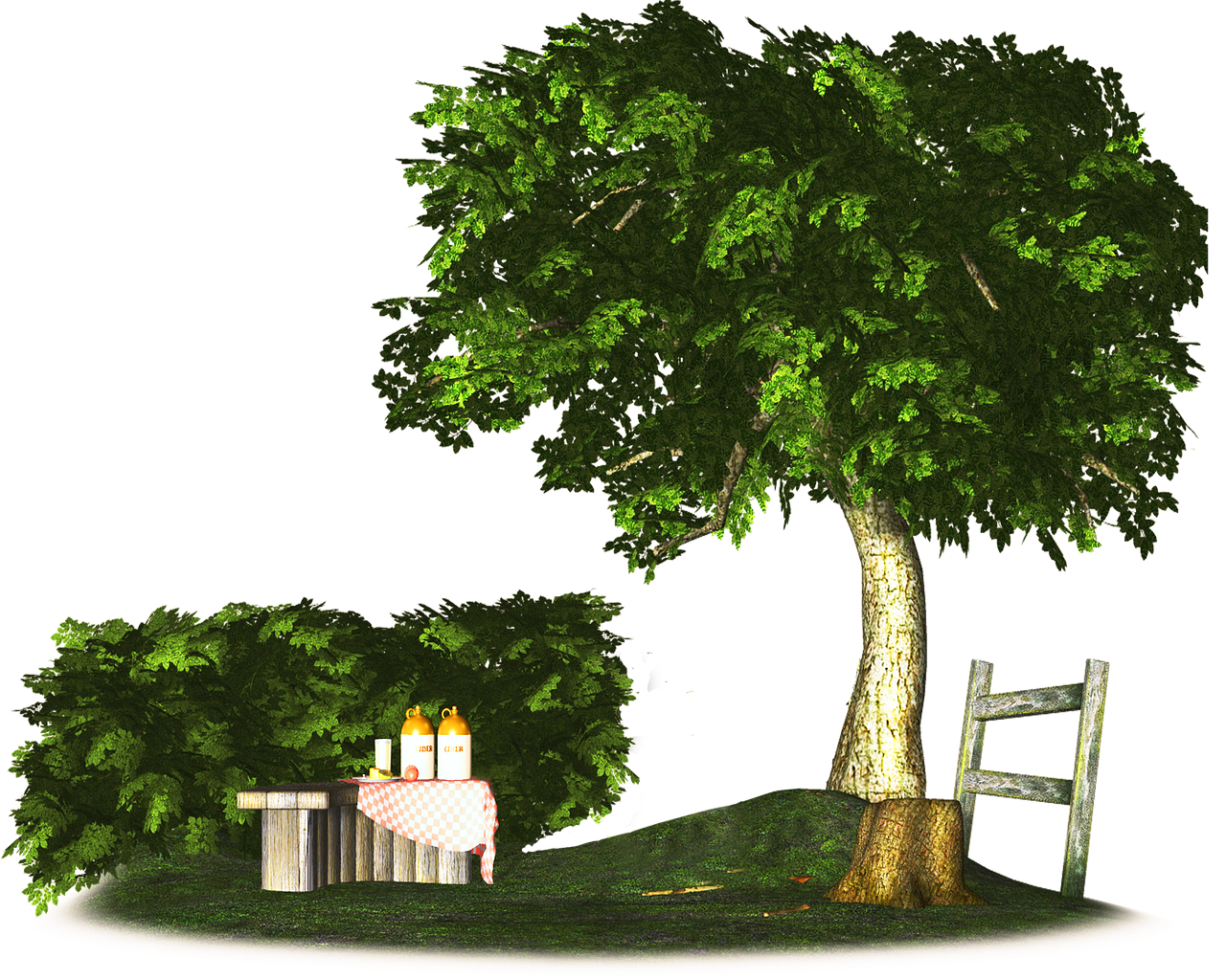 100+ Free 300 Dpi & 300Dpi Images - Pixabay