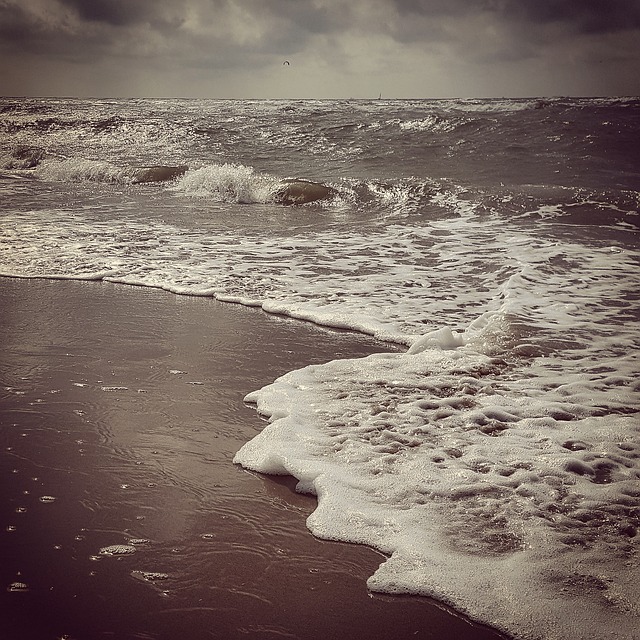 Meer Strand Düne Ansehen - Kostenloses Foto auf Pixabay - Pixabay