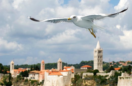 30+ Free Rabs & Croatia Images - Pixabay