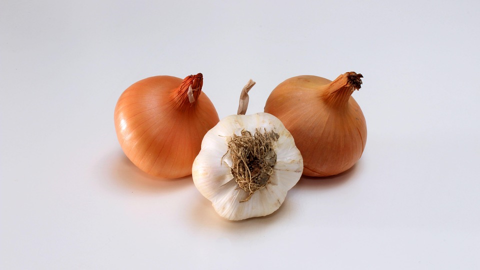 Cebolas Saúde Alimentos · Foto gratuita no Pixabay