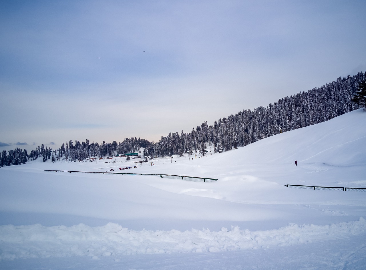 20+ Free Gulmarg & Kashmir Photos - Pixabay