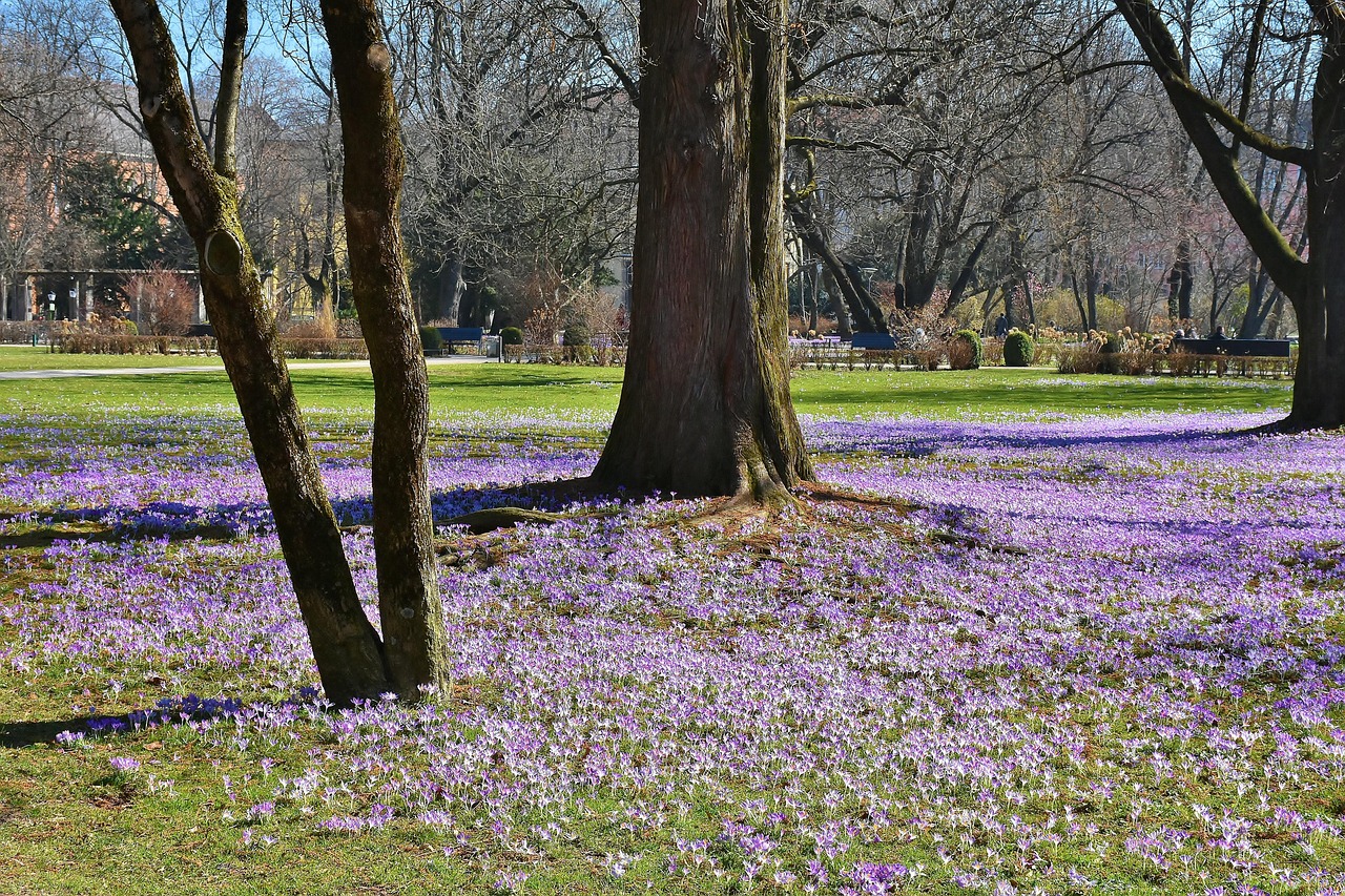 The Old Botanical Garden Munich - Free photo on Pixabay
