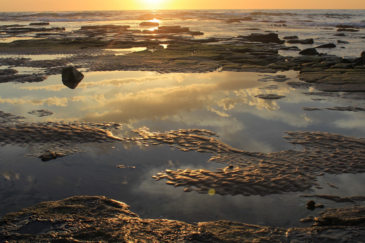 Australia Naturaleza Mar - Foto gratis en Pixabay - Pixabay