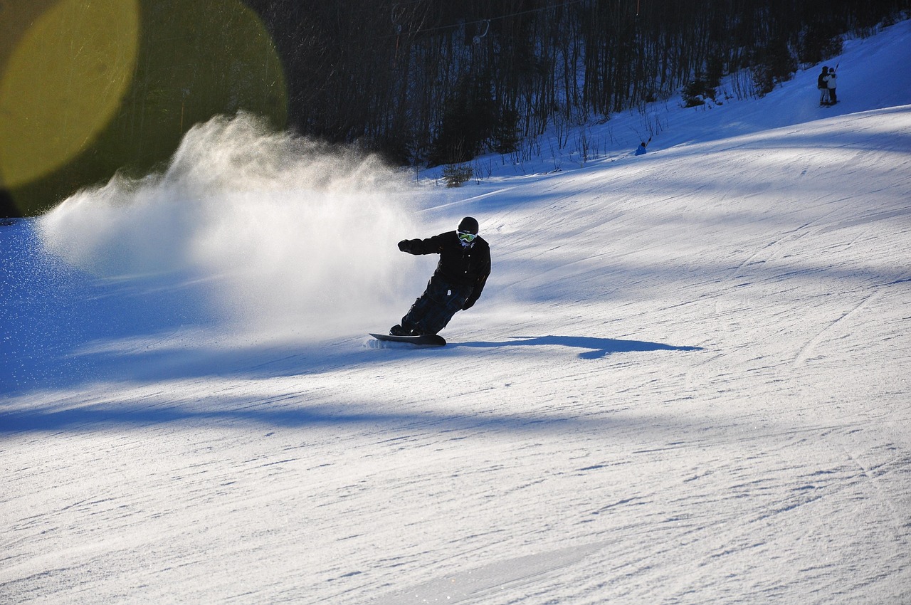 100+ Free Boarder & Nature Images - Pixabay