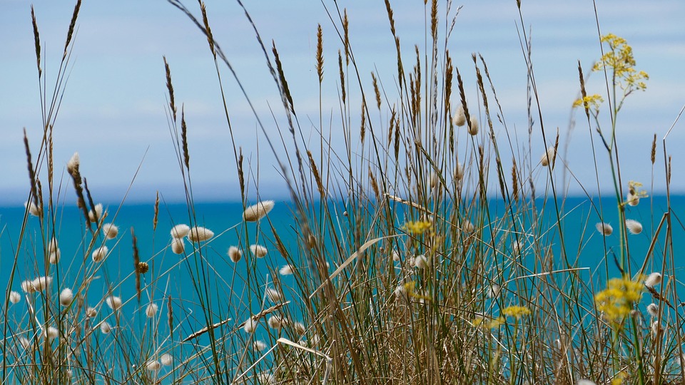 Sea Scene Scenic - Free photo on Pixabay