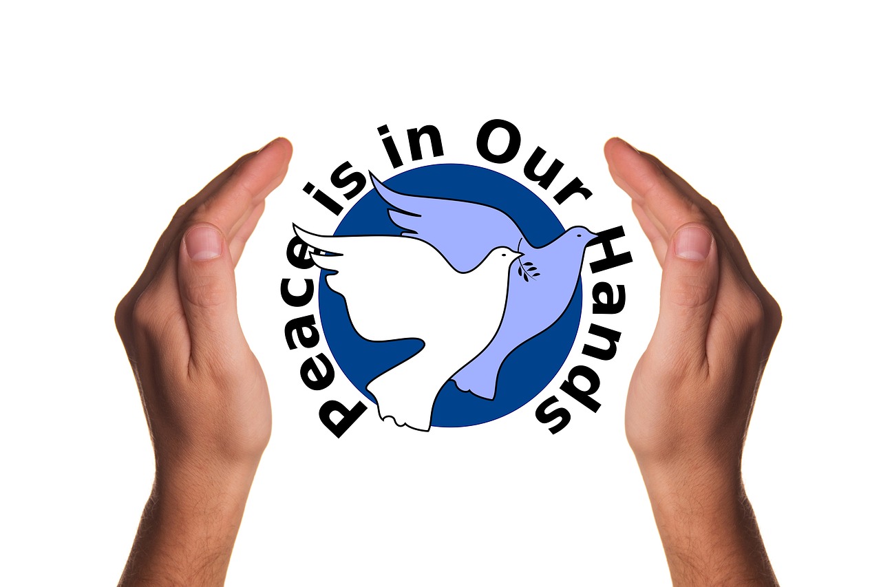 800+ Free Dove Of Peace & Dove Images - Pixabay