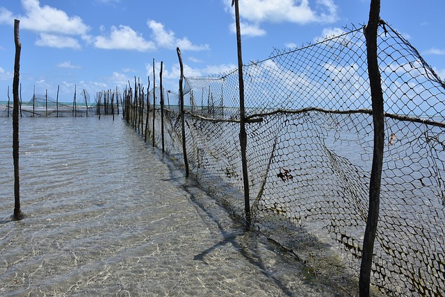 200+ Free Fisheries & Fishery Images - Pixabay