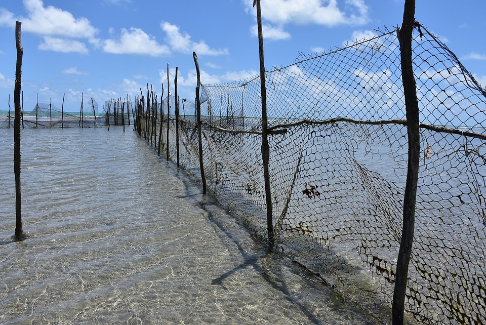 Fishery Sea - Free photo on Pixabay