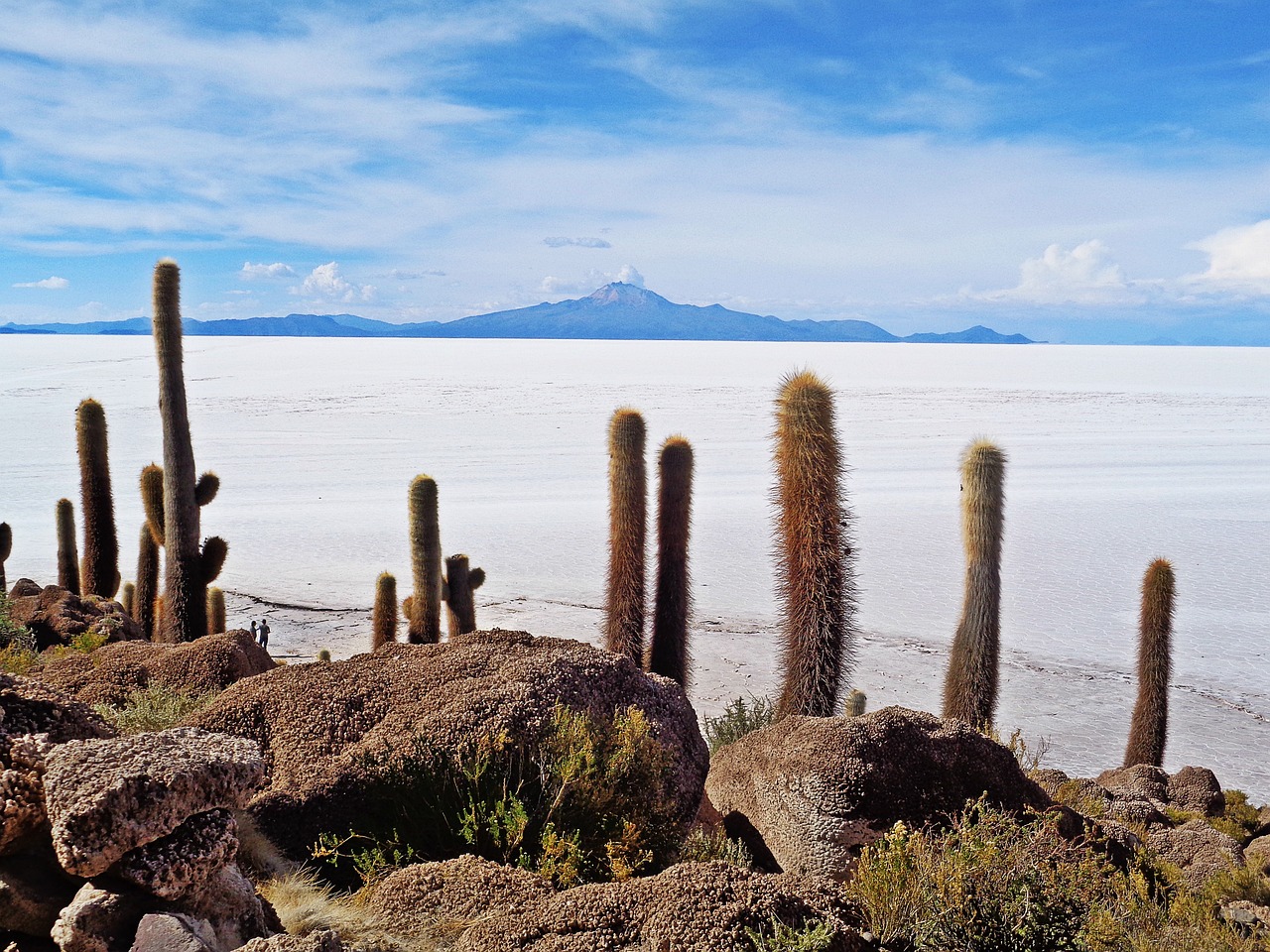 El Salar De Uyuni Sal Del - Foto gratis en Pixabay - Pixabay