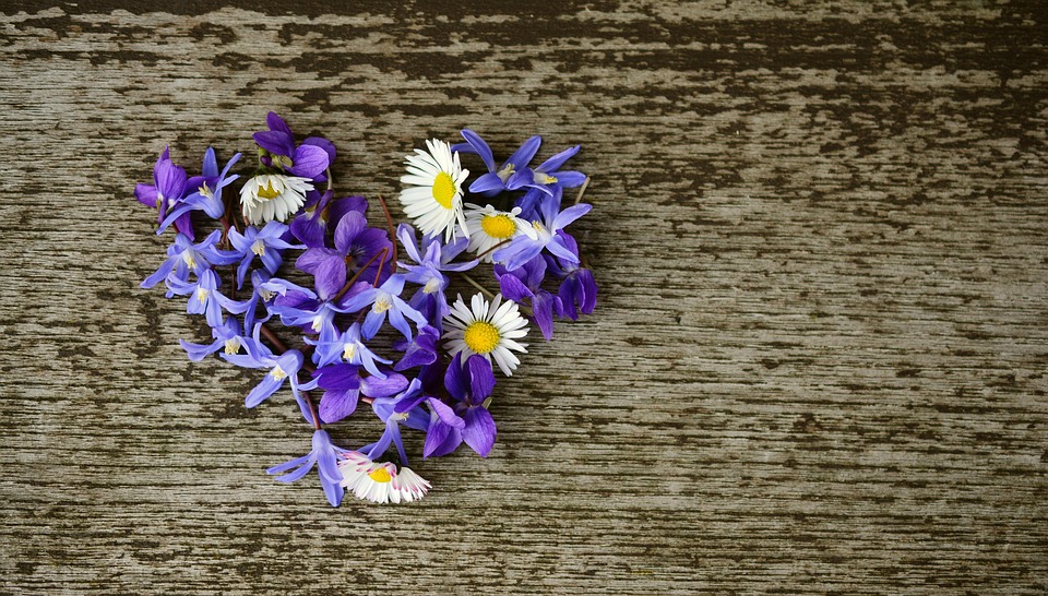 Flower Heart Spring Blossoms - Free photo on Pixabay