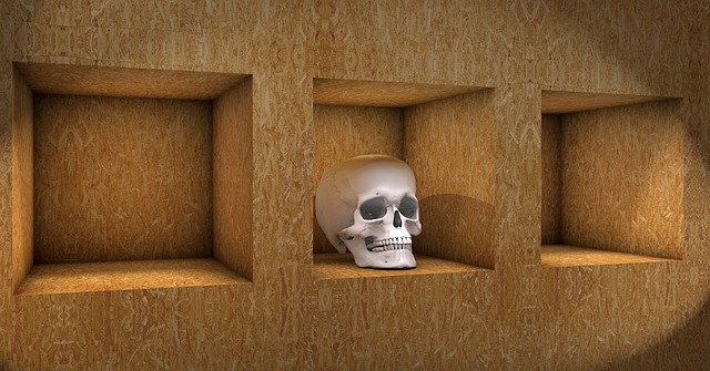 Download Skull Shelf Wood Royalty-Free Stock Illustration Image - Pixabay