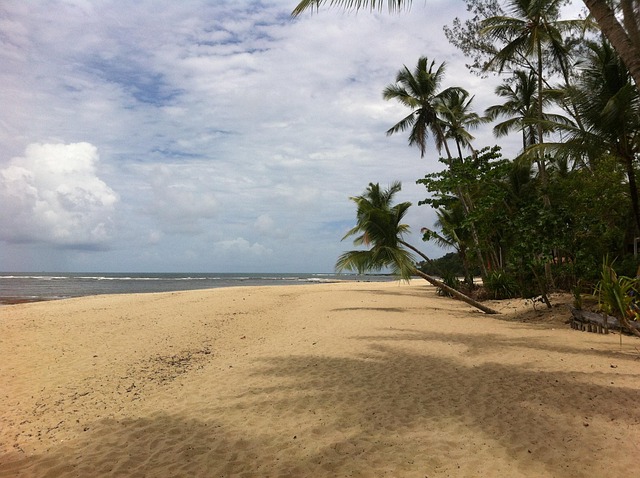 Brazil Boipeba Beach - Free photo on Pixabay - Pixabay