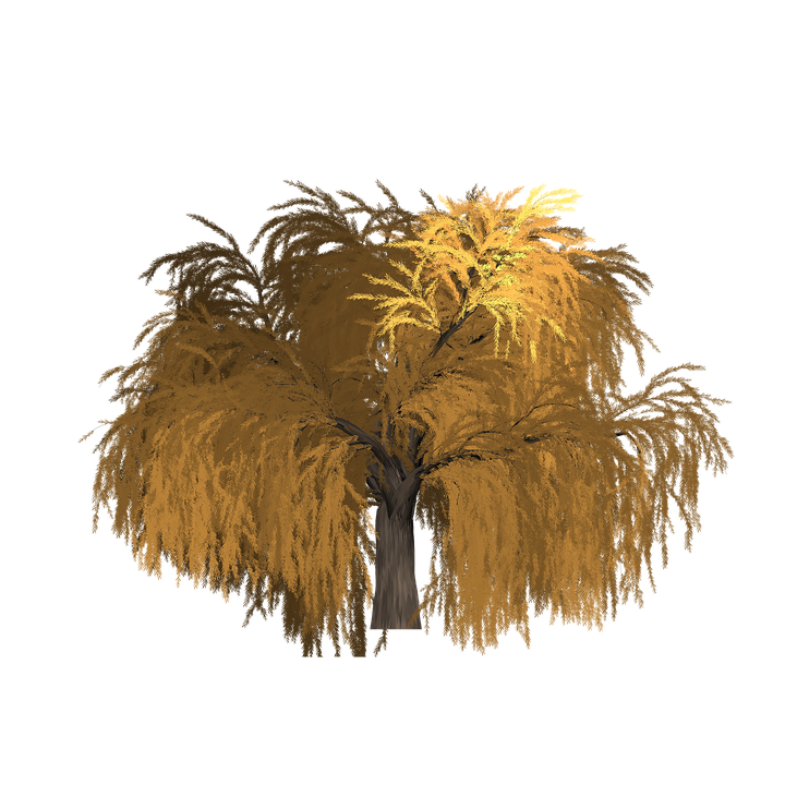 Download Willow, Tree, Orange. Royalty-Free Stock Illustration Image ...