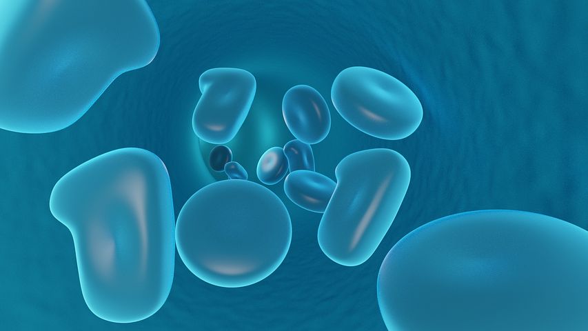 200+ Free Biology Cell & Biology Images - Pixabay