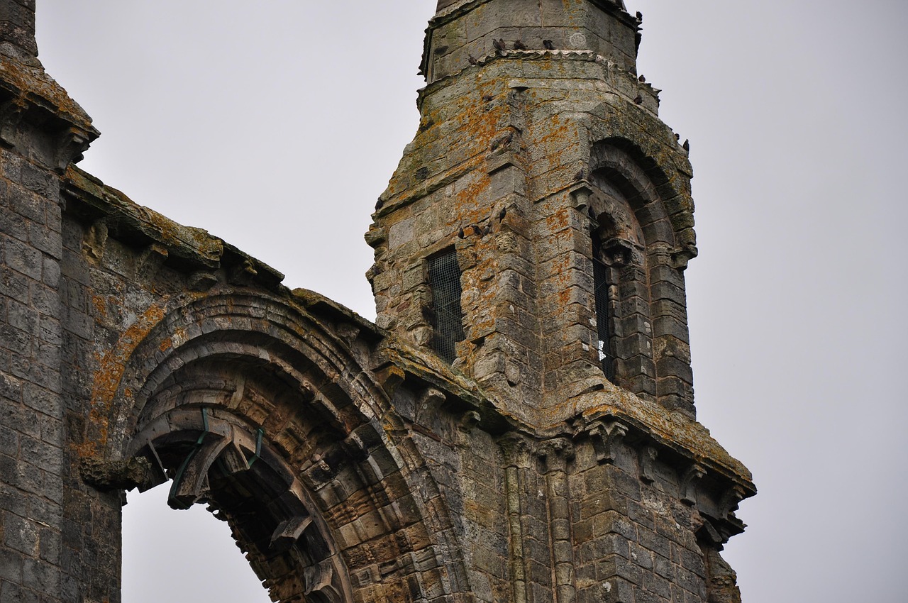 The Cathedral Of St Andrews - Free photo on Pixabay - Pixabay